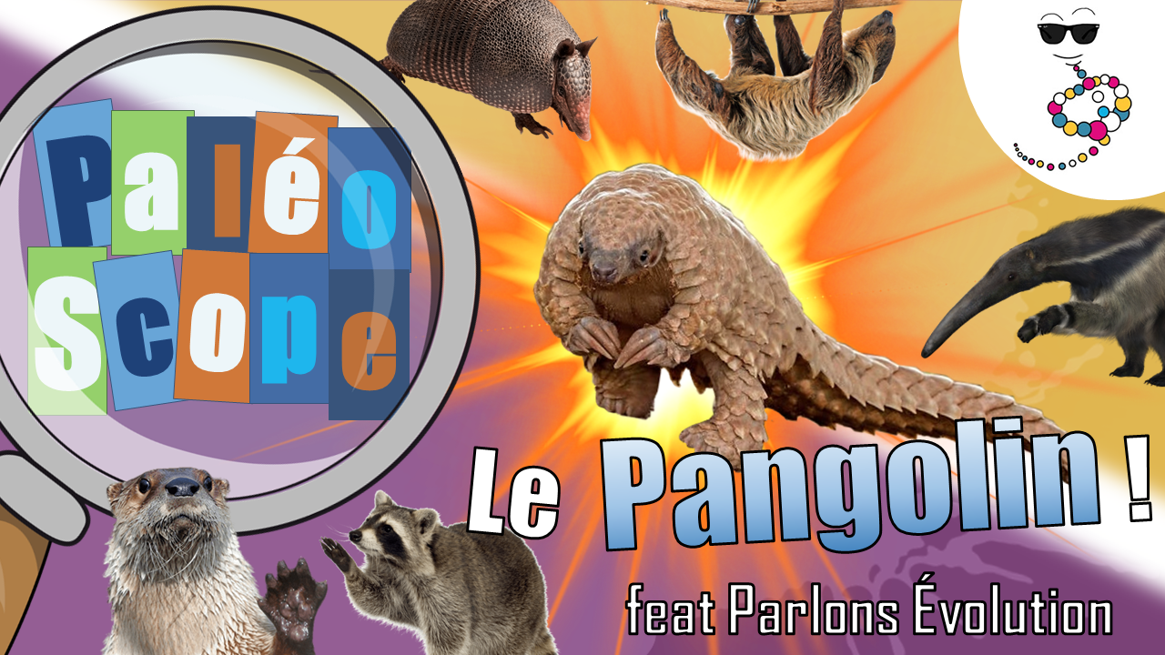 Paléo-J - Partez à la découverte de la paléontologie